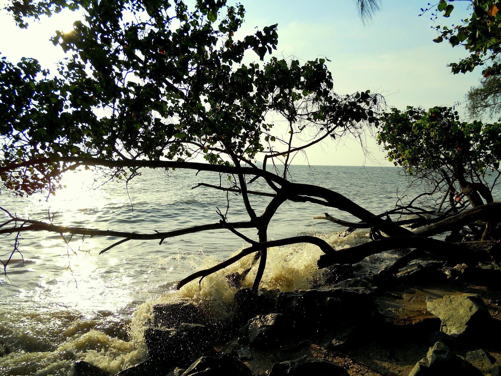 Eksplorasi - Pantai Remis di Jeram, Kuala Selangor - Relaks Minda