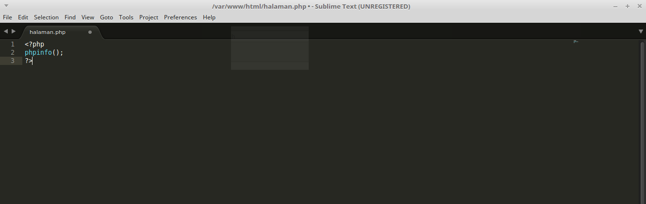 Membuat file php pada var/www/html - Risanurhaeni