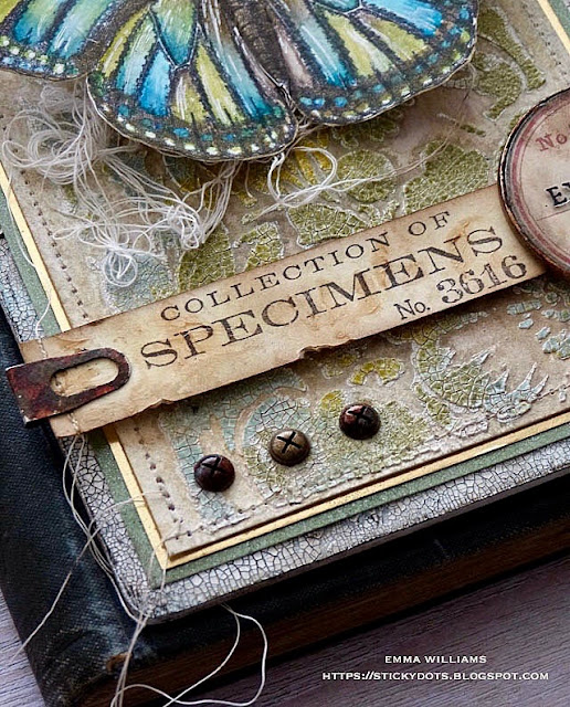 That's Life: Exhibit A ~ Collection of Specimens: No. 3616