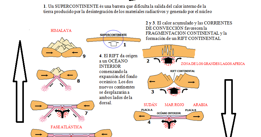 CURIOSIDADES CIENTÍFICAS : El ciclo de Wilson