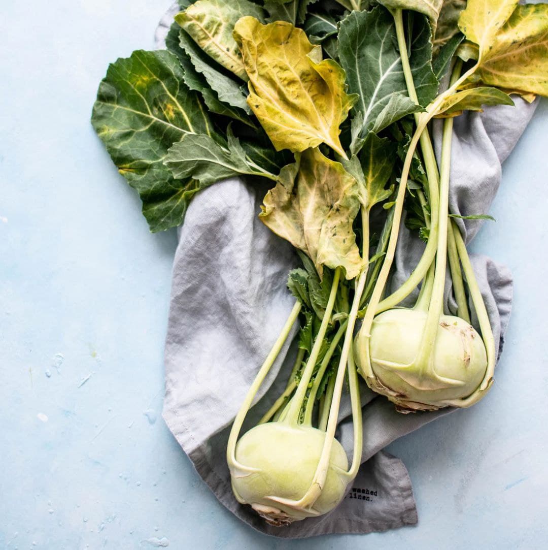 Cultivation of Knol Khol or Kholrabi - Sphorticulture