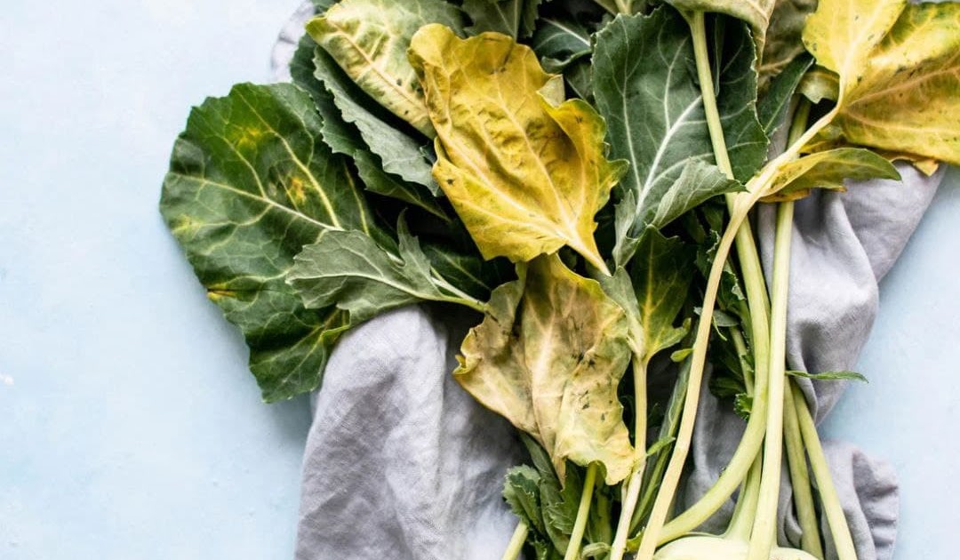 Cultivation of Knol Khol or Kholrabi - Sphorticulture