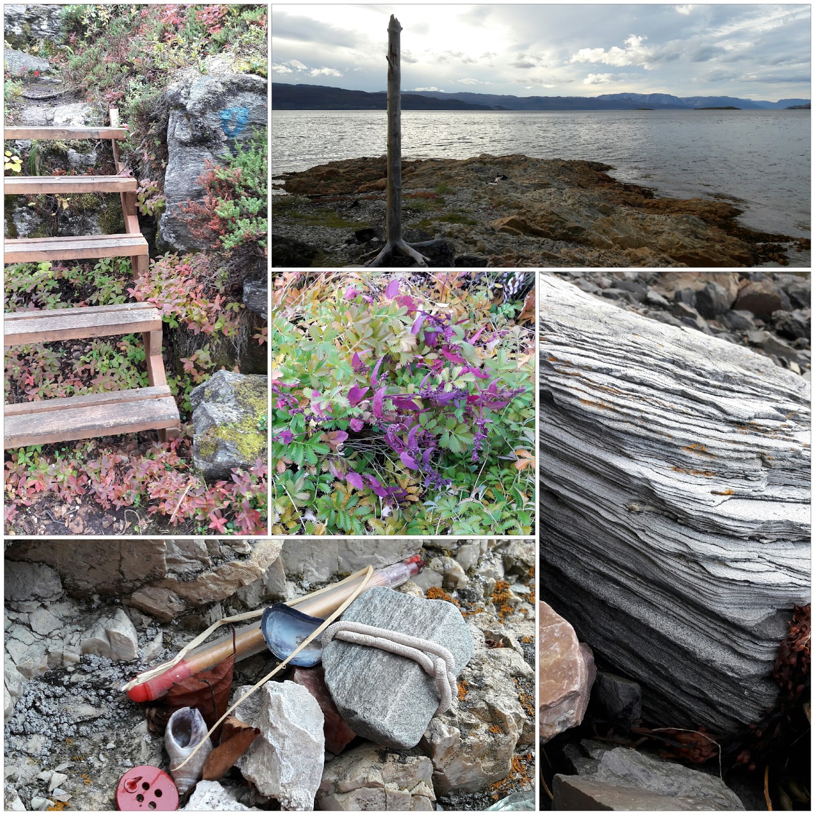 88Altaturer: Seidekjerringa