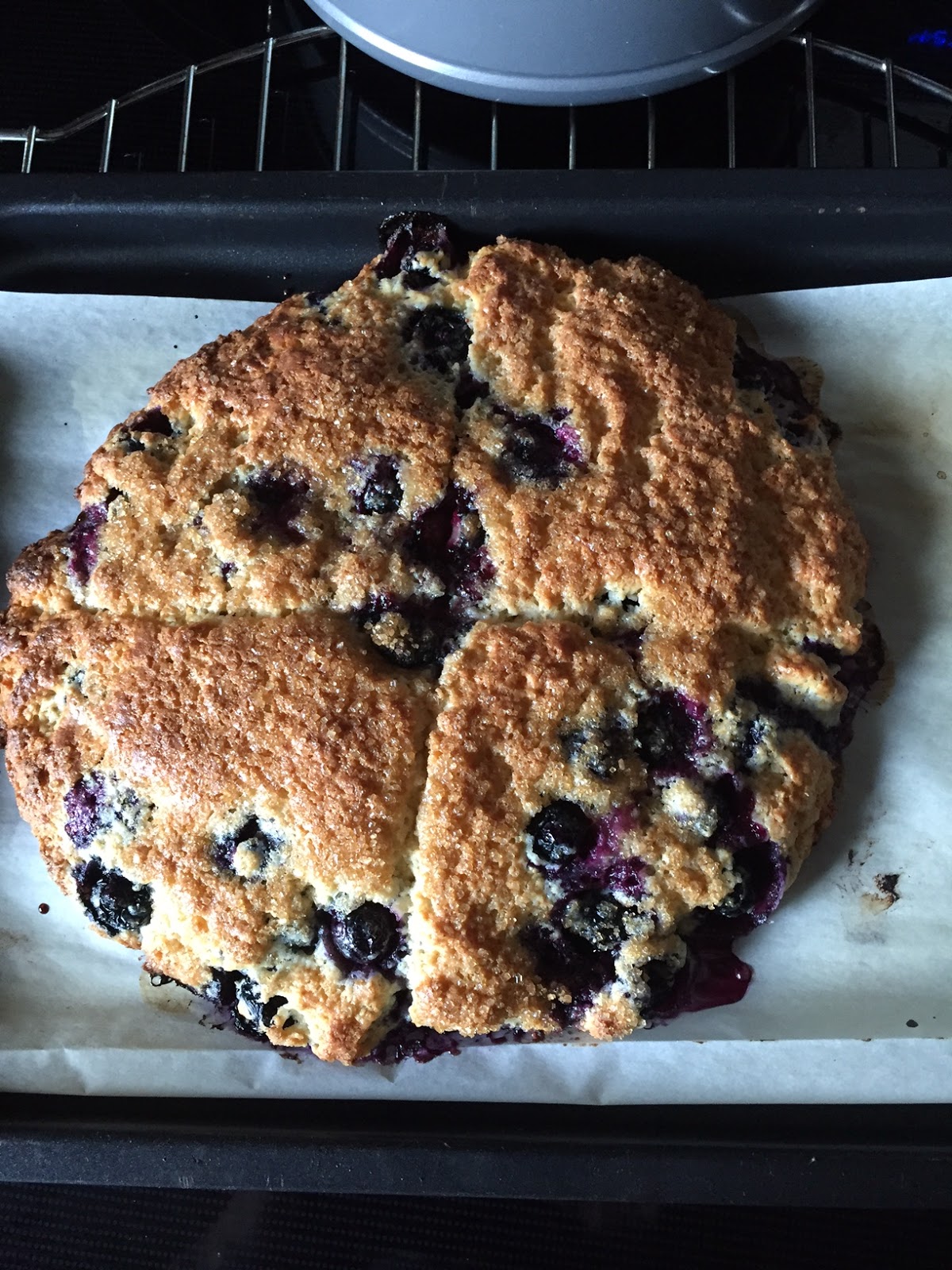 Mrs. v's Foods Class: Jean Pare scones; cream scone and angel biscuits ...