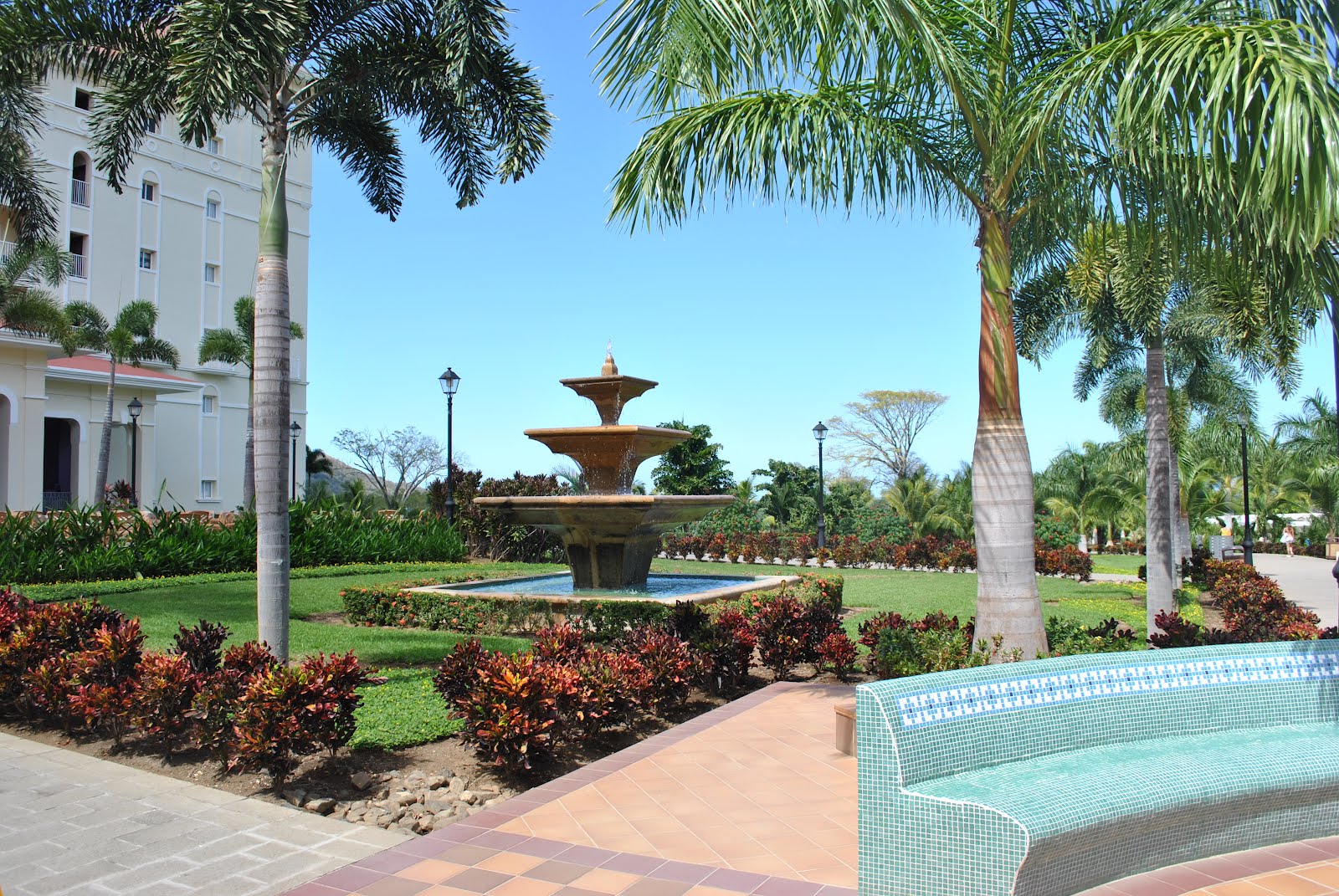 Ramble On Rose: Flora of Costa Rica