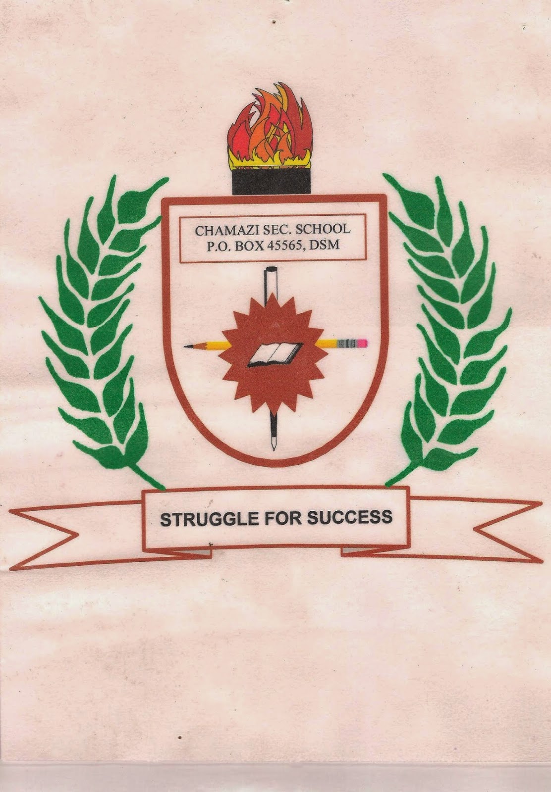 CHAMAZI SECONDARY SCHOOL DAR ES SALAAM: Gally