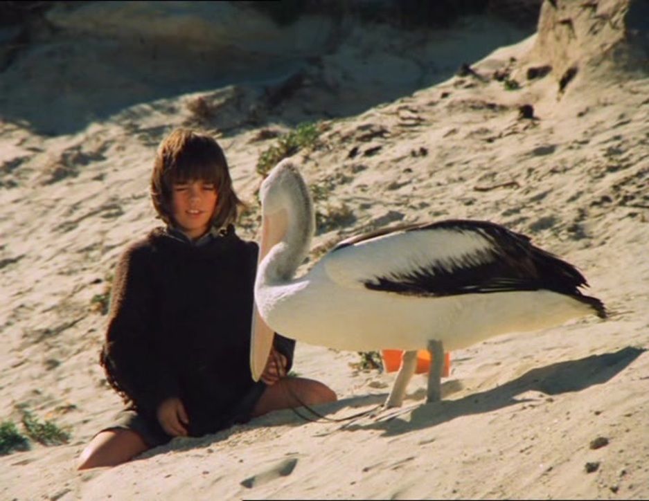 Personal Blog: Storm Boy 1976