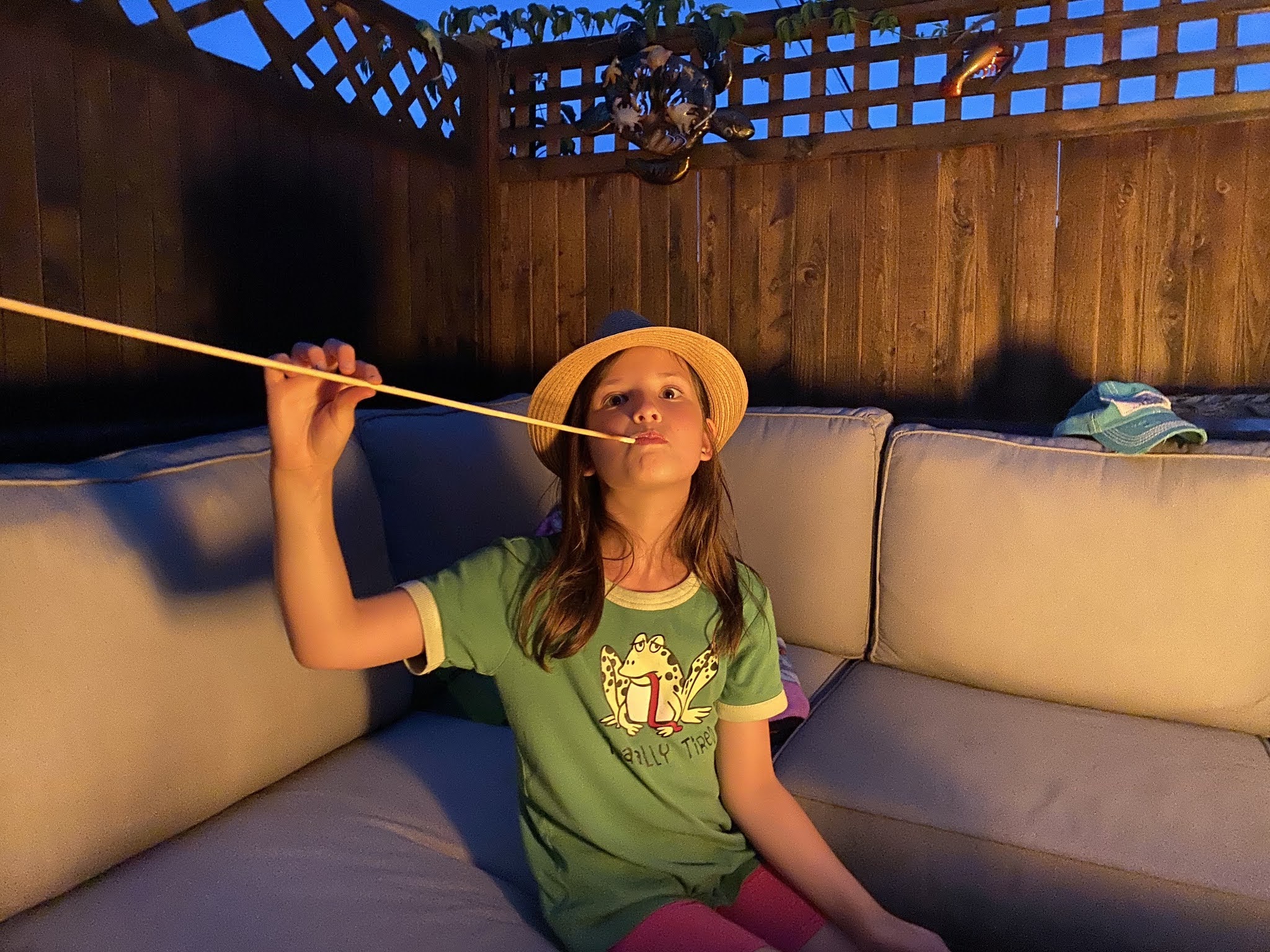 Emo & Cilantro Lime Chicken with Mango Avocado Salsa – Honeybears ...