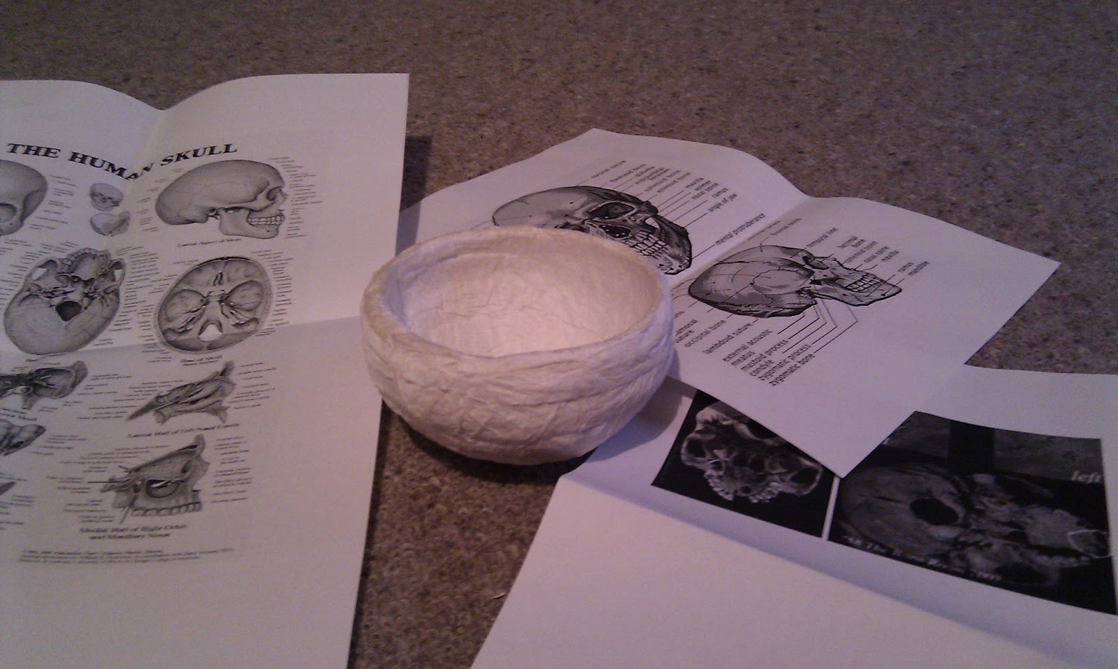 Making a skull: the basic shape