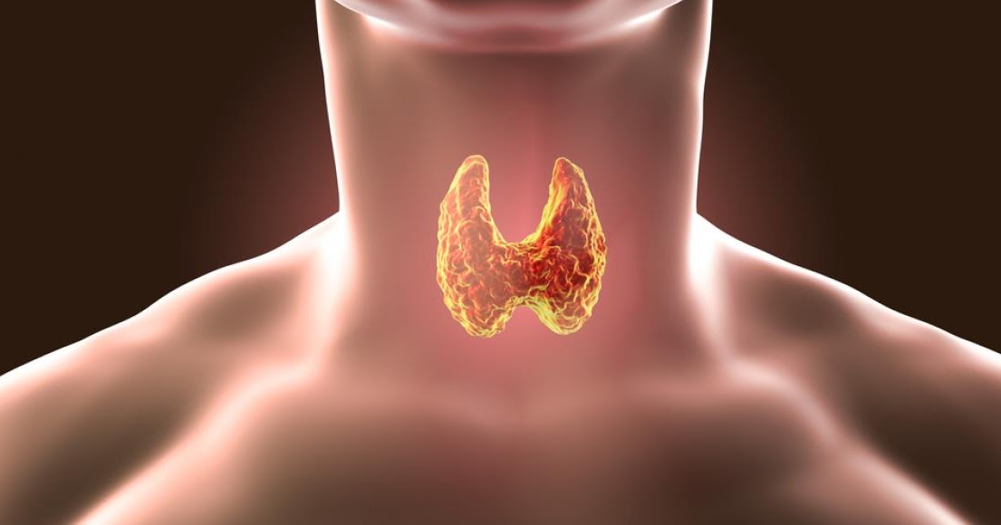 AFRIQUE SANTE REMÈDE: Les conséquences de l’hyperthyroïdie