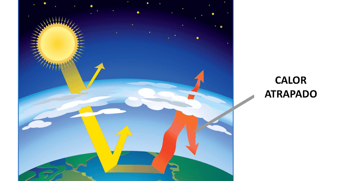 ¿Qué es un sumidero de carbono?