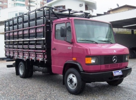 Mundo dos Pesados: Mercedes-Benz 709