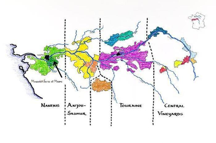 The Sommelier Update: Muscadet