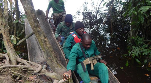 The Median Newspaper: Poachers kill forest guard in East Region