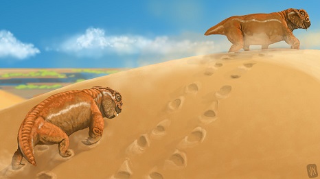 Noticias de Paleontologia: Chelichnus gigas, rastros de un gigante ...