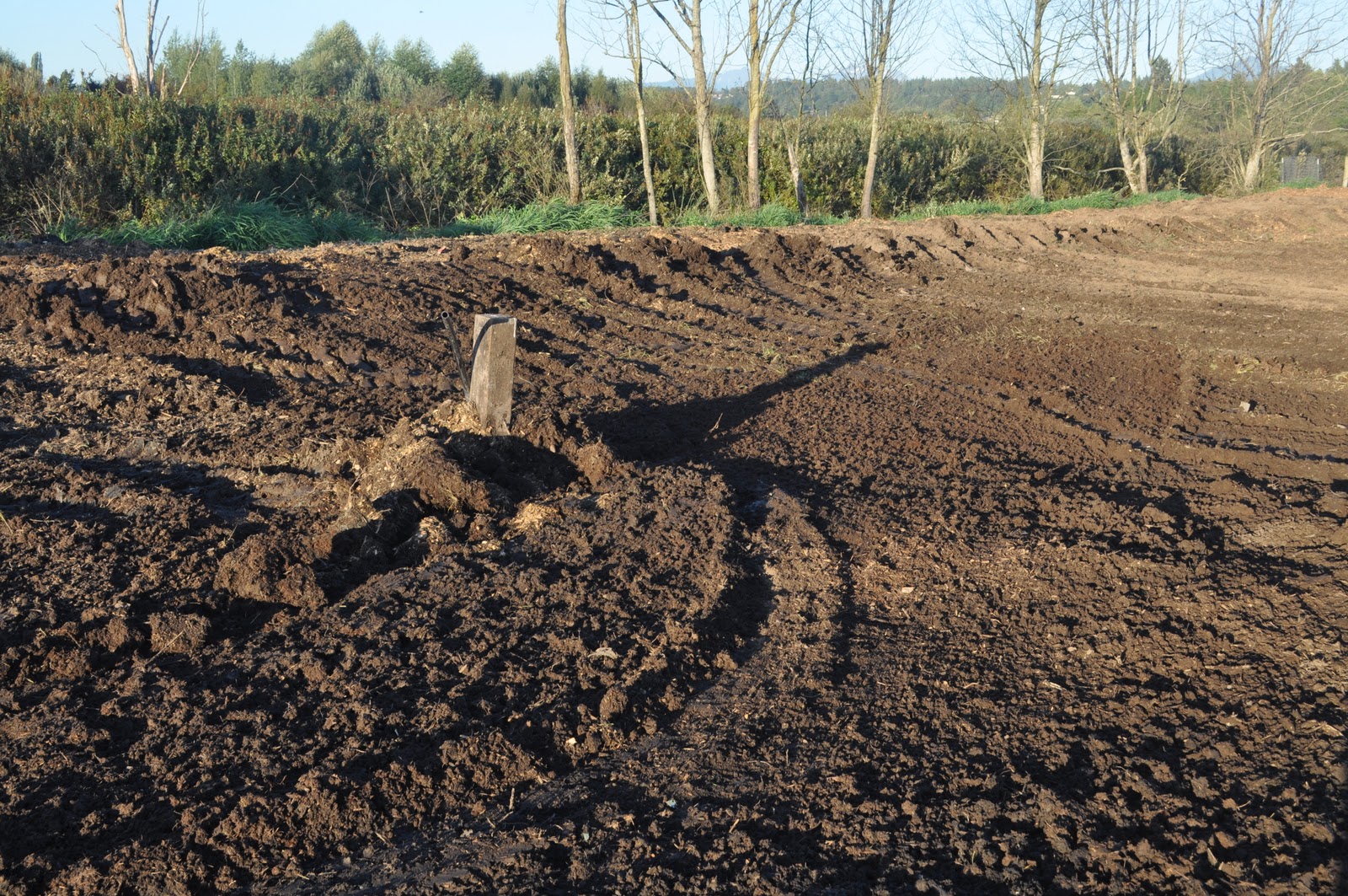 meat: Creating a swale