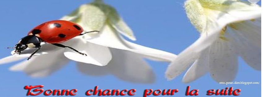 sms pour dire bonne chance