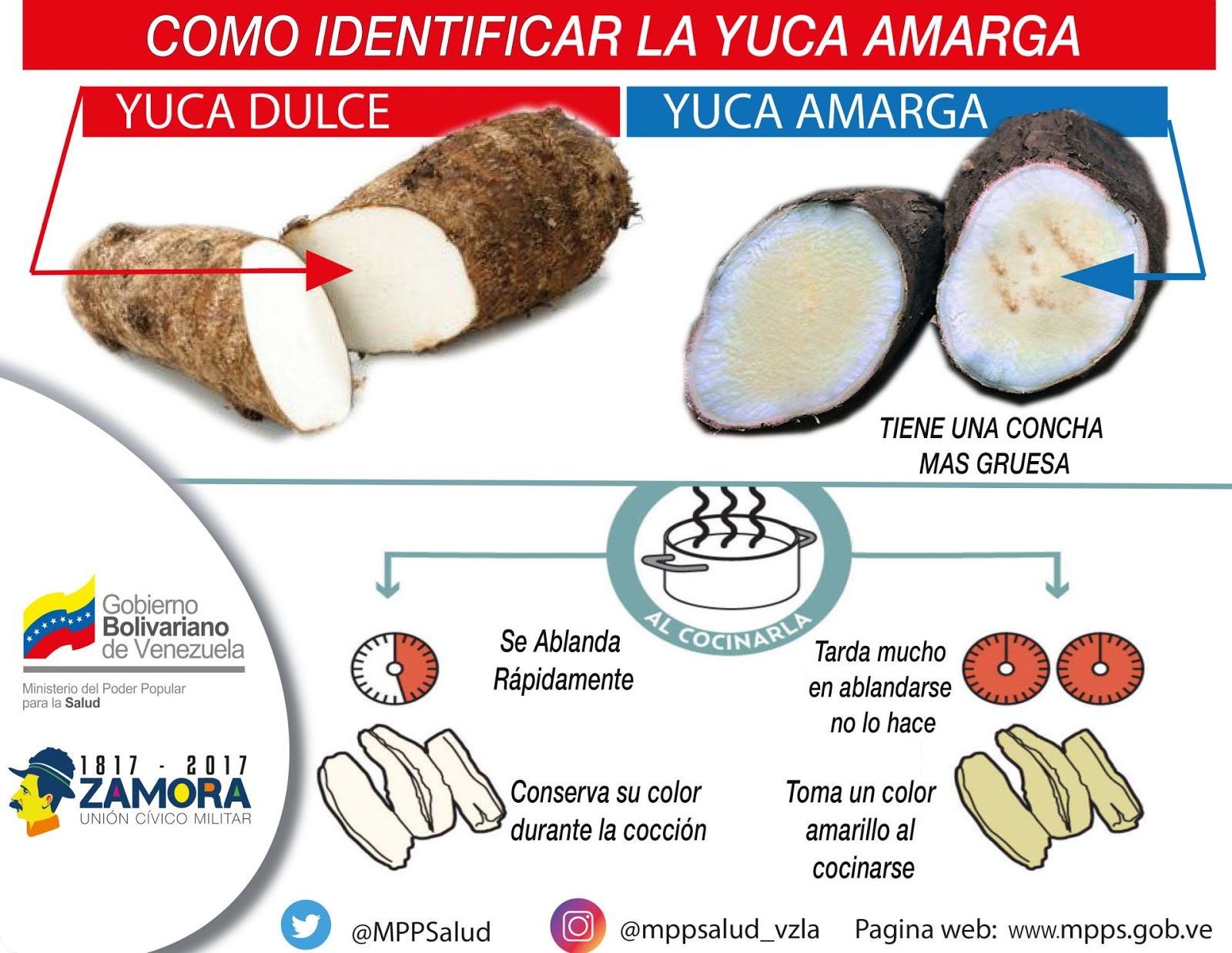 SALUD | Conozca la diferencia entre la Yuca Amarga y la Dulce.