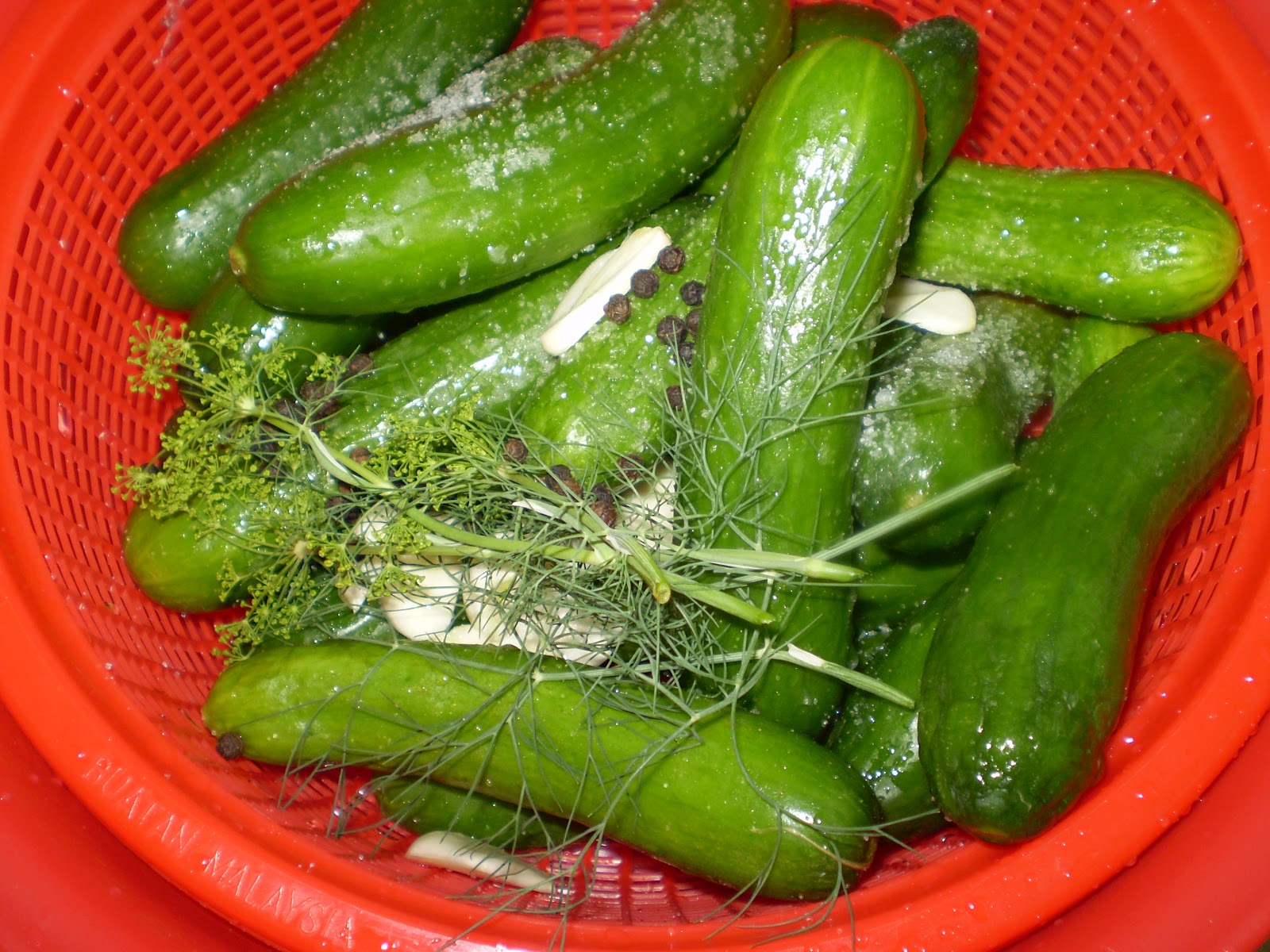 Unveiled Jobless Money Tai Tai's Life: HOW TO MAKE GHERKIN (DWARF ...