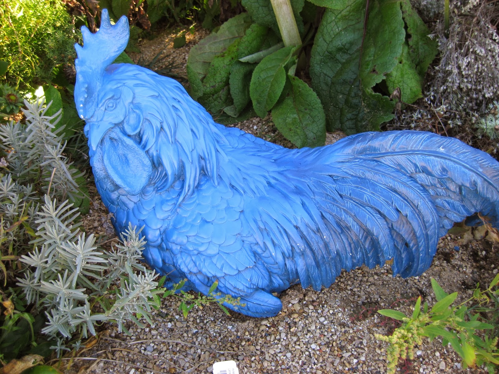 Rotary Botanical Gardens - Hort Blog: Hosta Procurement