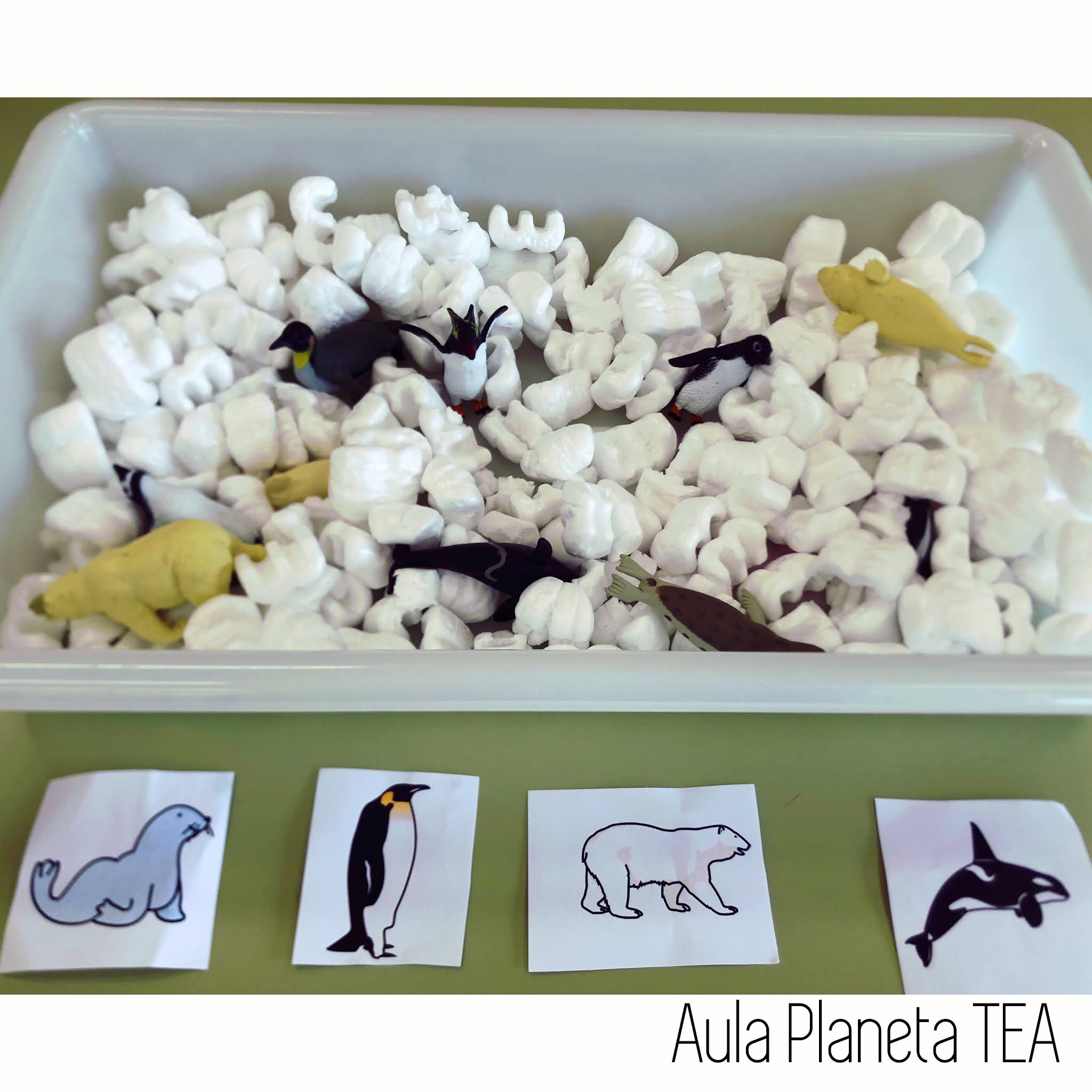 Aula Planeta TEA: BANDEJAS SENSORIALES DE INVIERNO