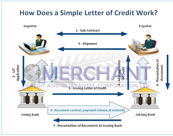 Merchant Credit and Guarantee Corporation Limited: Definition and ...