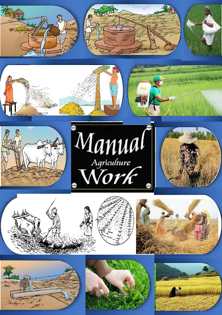 Pro Tech: IMPACT OF TECHNOLOGY ON LIVELIHOOD