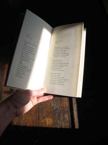 S K E T C H B O O K: of others: amelia bird