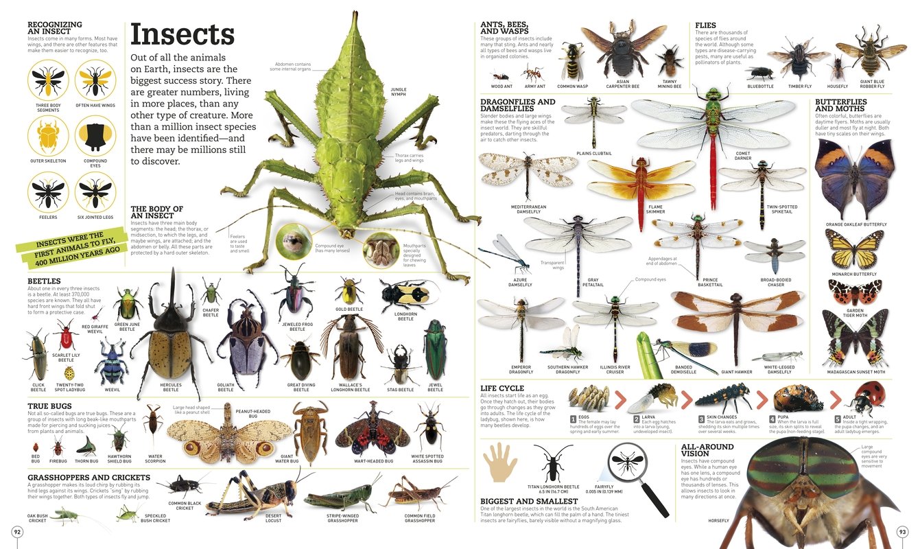 A Bookworm's World: Picturepedia: An Encyclopedia on Every Page - DK Canada