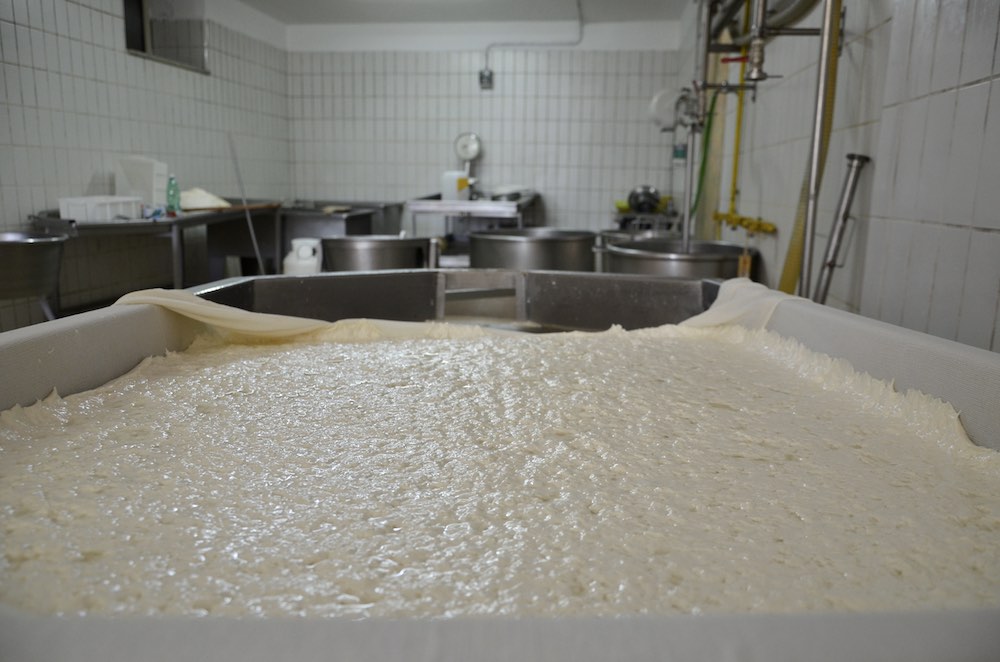 How mozzarella is made by dairy farmers | Amalfi Coast