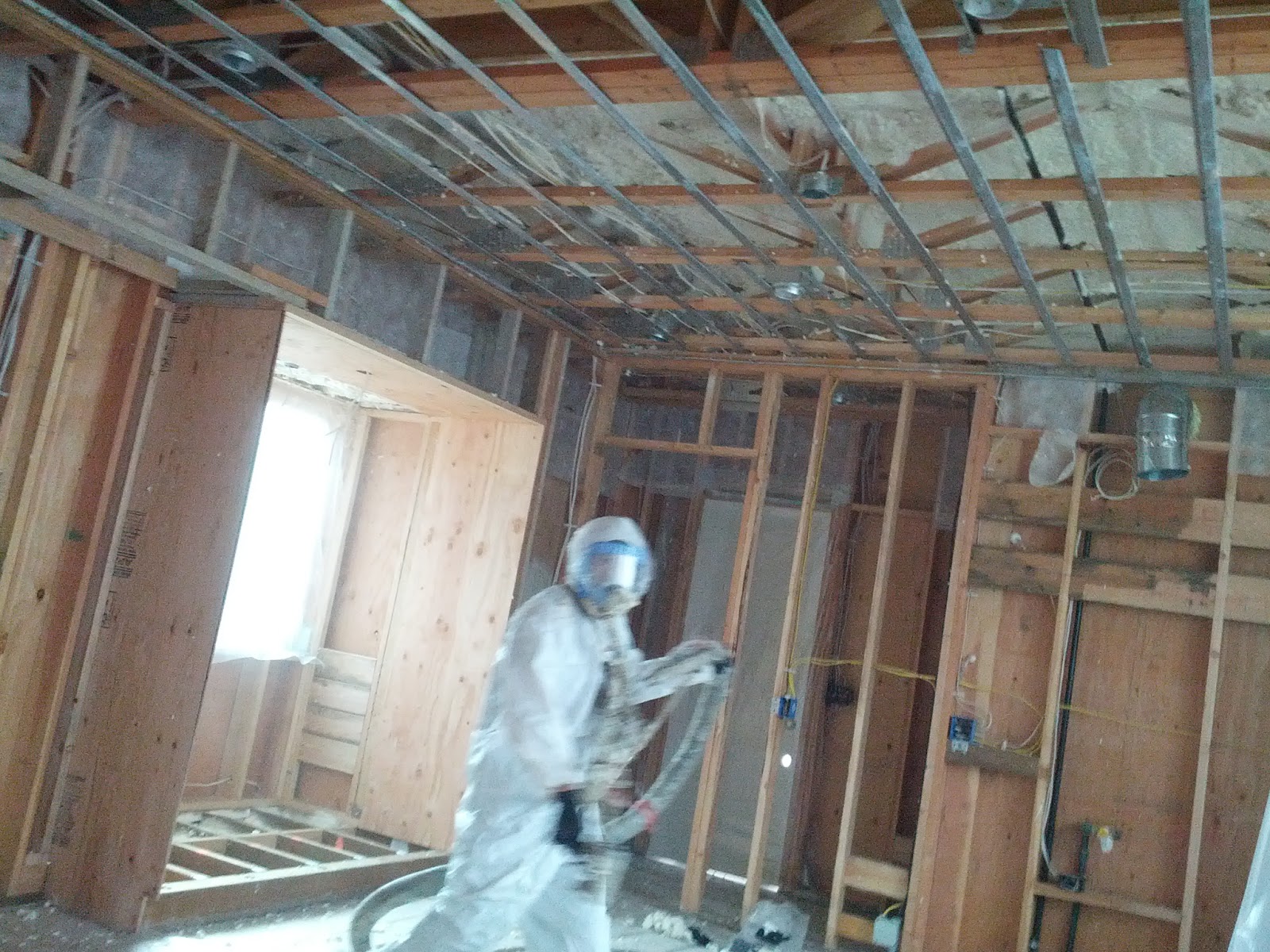 LHW:A The Blog: The Foam Ghost (Insulation Begins)