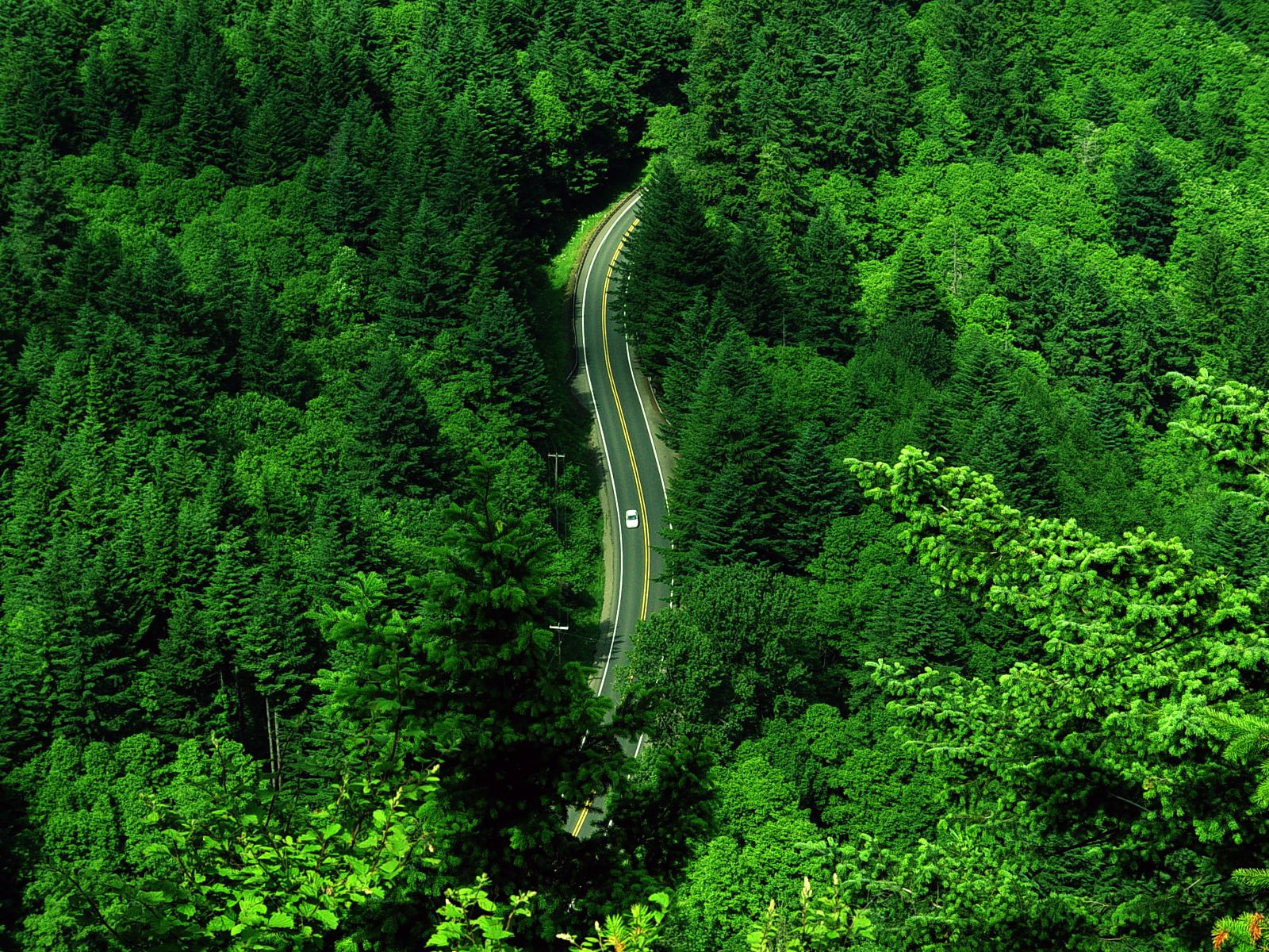 Amazing Roads Wallpaper Pack 1 | All Entry Wallpapers