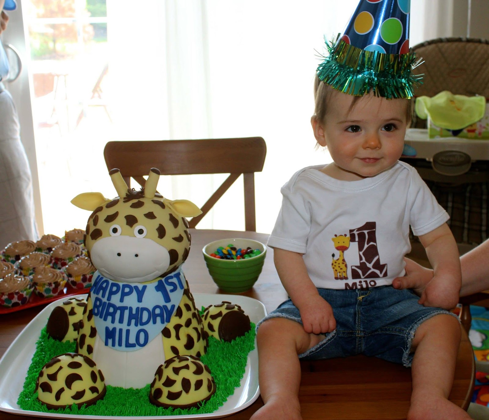 Meet Milo Thomas: Happy (belated) birthday, Milo!