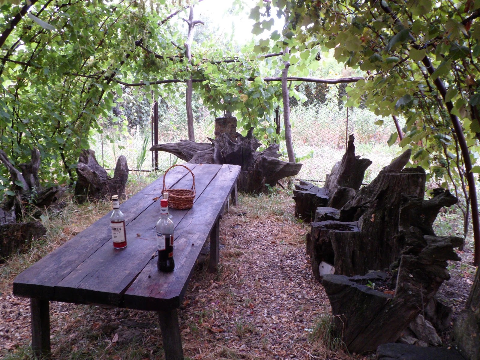 Nicolae Onu - mester popular in lemn si piatra -: La Nicolae Onu ...