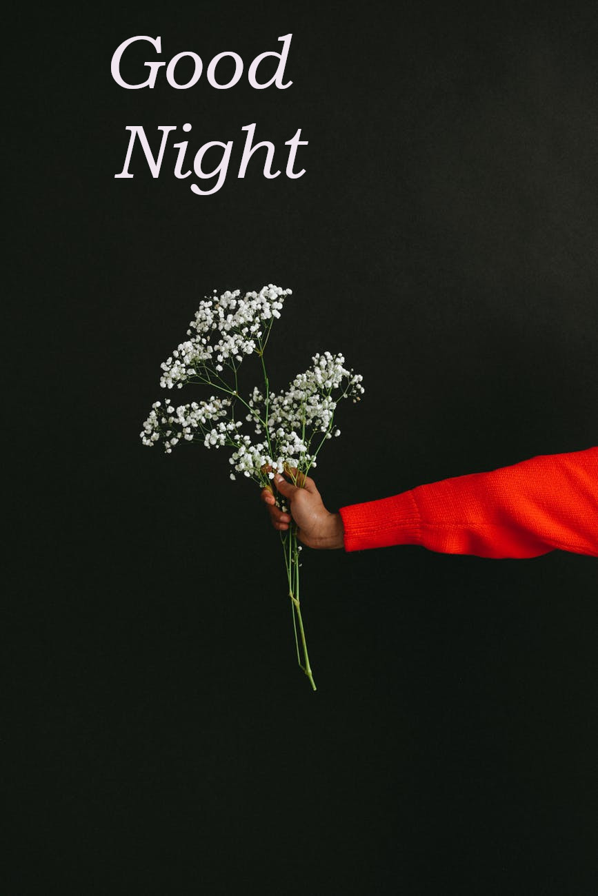 Top 10 Good Night Images greeting Pictures,Photos for Whatsapp - Good ...