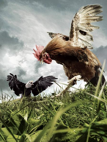 Photo Manipulation: 21 Animals -> Photoshop Part 5