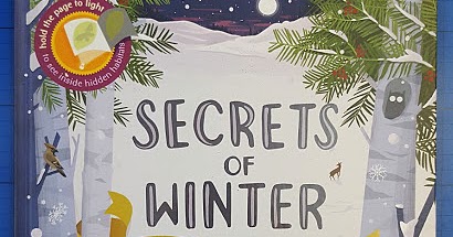 The Brick Castle: Secrets Of Winter Shine-A-Light Children's Book from ...