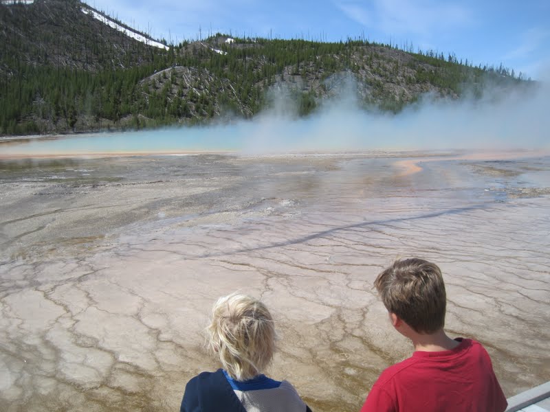 The Scallywagon: YOU SKIN GRIZ', PILGRIM? Yellowstone National Park