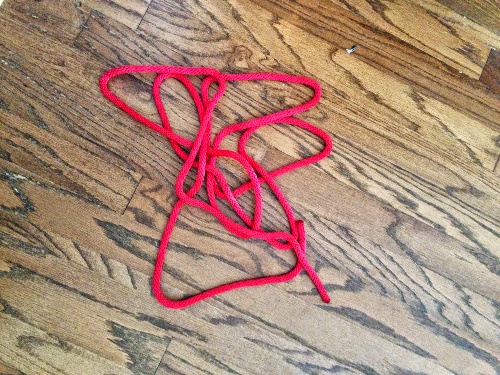 Goose Control and Herding Dogs: DIY Dog Leashes