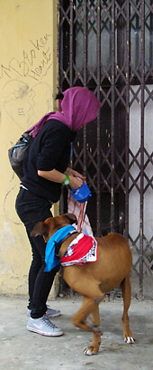 THE SIKKIM TIMES: GANGTOK DOG SHOW HELD TO MARK WORLD VETERINARY DAY