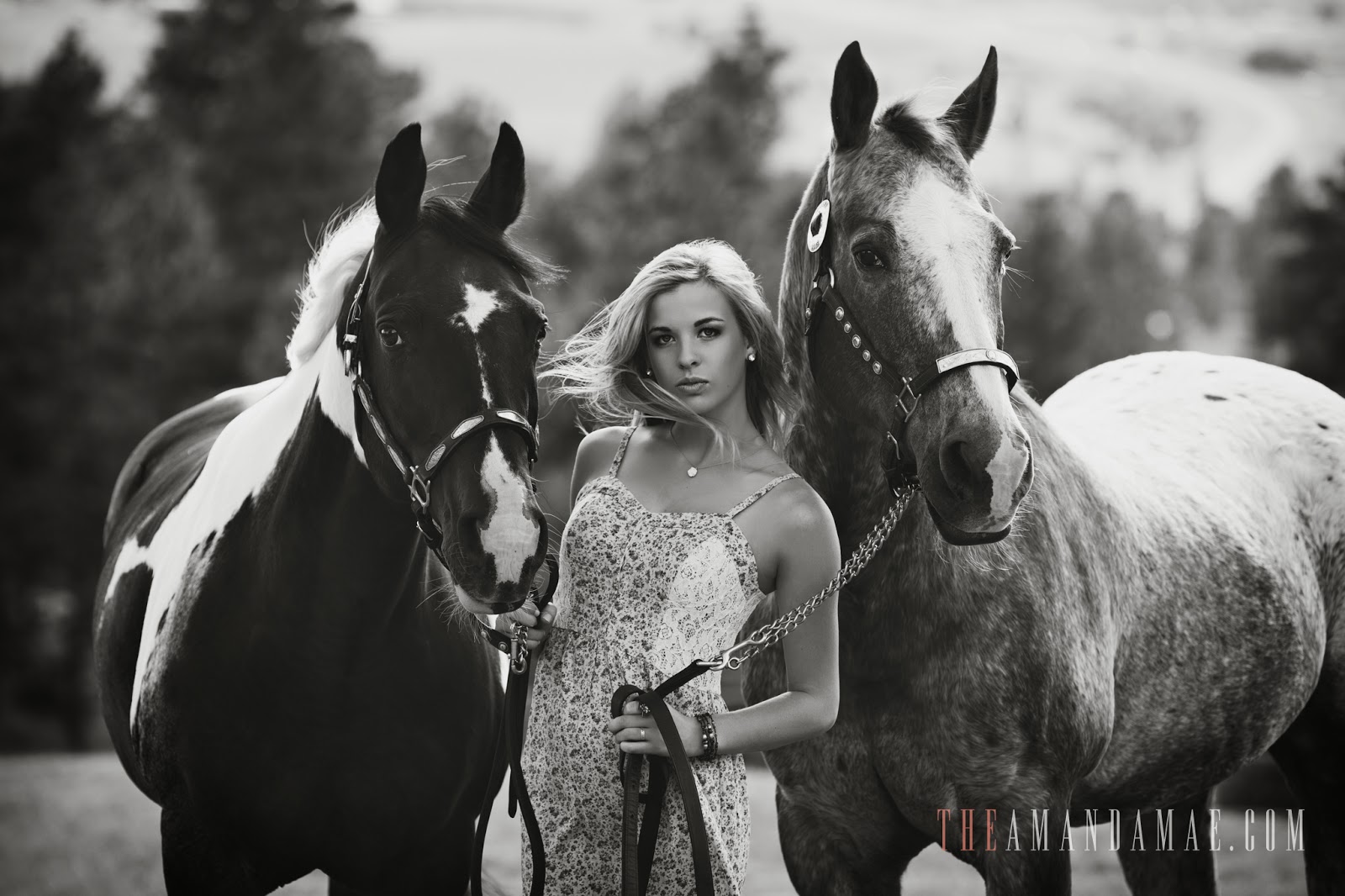 AMANDA MAE PHOTOGRAPHY: Maddy Bye Class of 2014 : Amanda Mae Photography