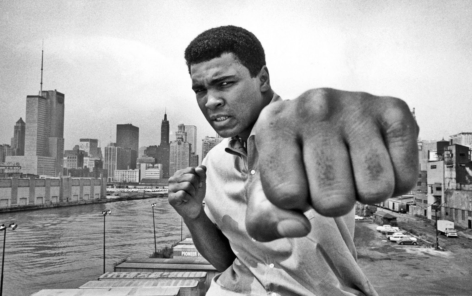 Muhammad Ali, a king has died