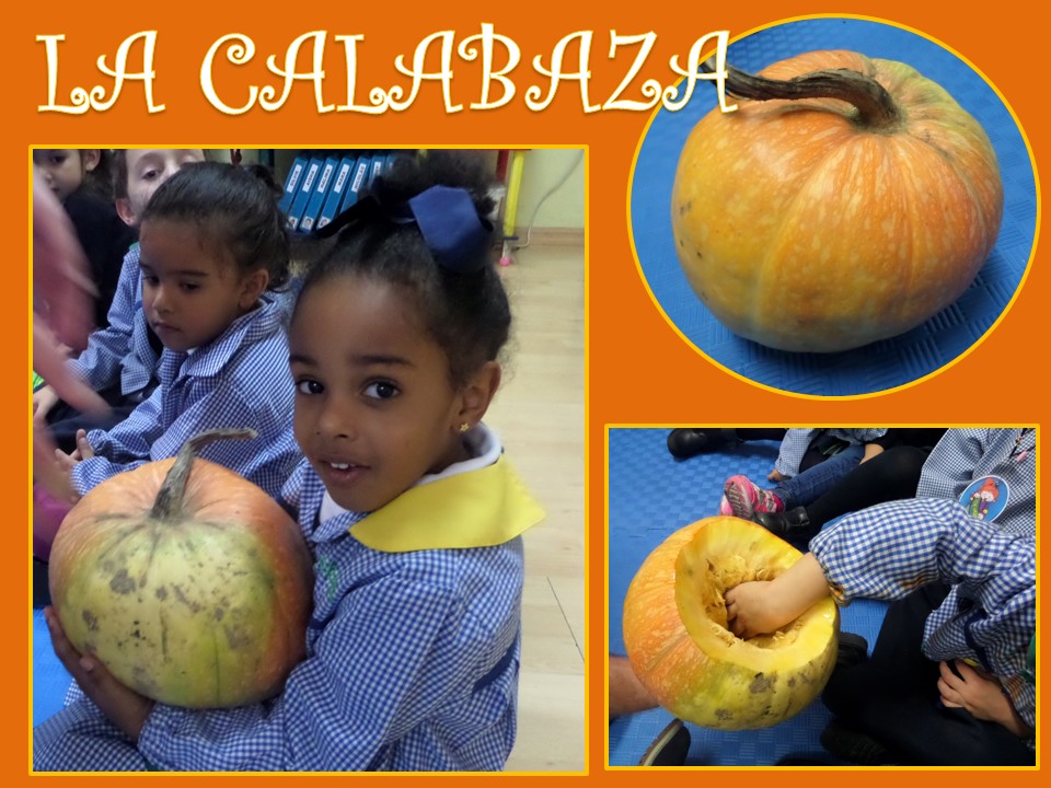 Educación infantil 4 años: Proyecto "Frutas y Hortalizas": La Calabaza