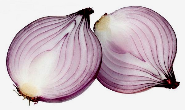 Kruidwis: Ajuin, oude en nieuwe recepten.