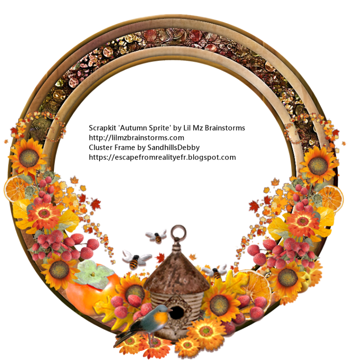 Escape From Reality Blog: FTU 'Autumn Sprite' Cluster Frames LMB