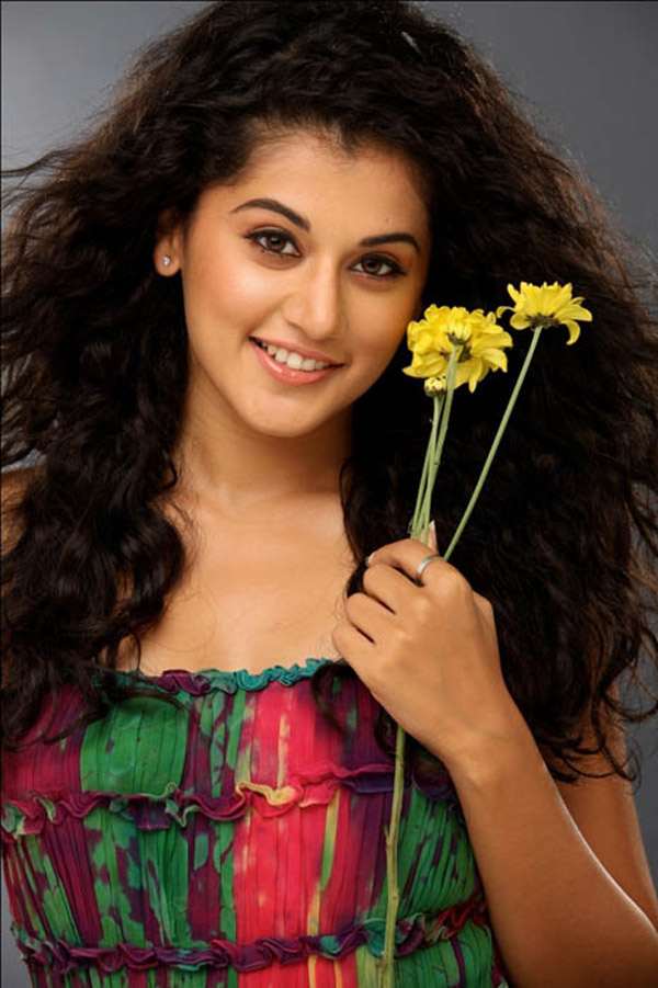 High Quality Images: Tapsee Latest Hot Photoshoot