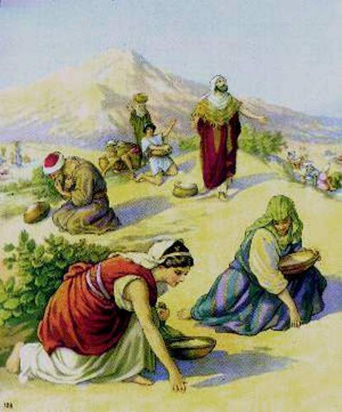 Latidos de Dios: 12 de Agosto