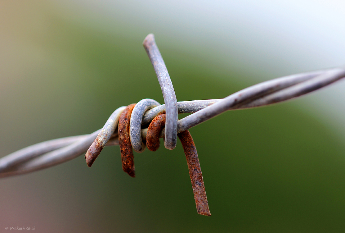 Minimalist Photography - by Prakash Ghai: Rusted Barb Wire