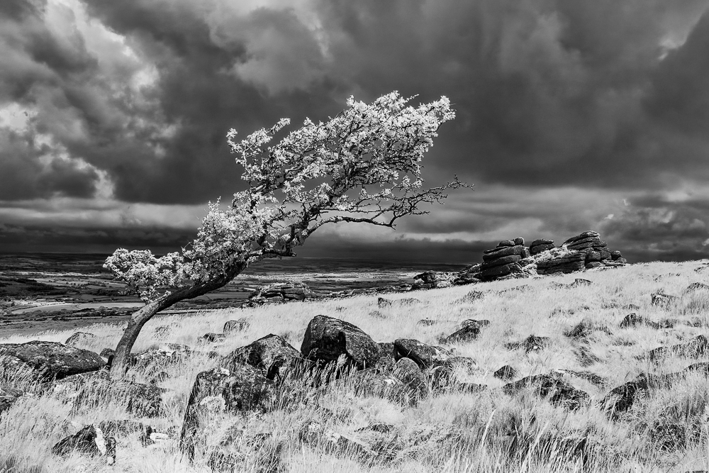 P.J. Horrell Photography