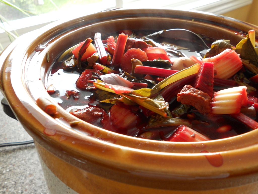 Snacking Squirrel: Crock Pot: Bison Potato Beet Stew in Miso Broth